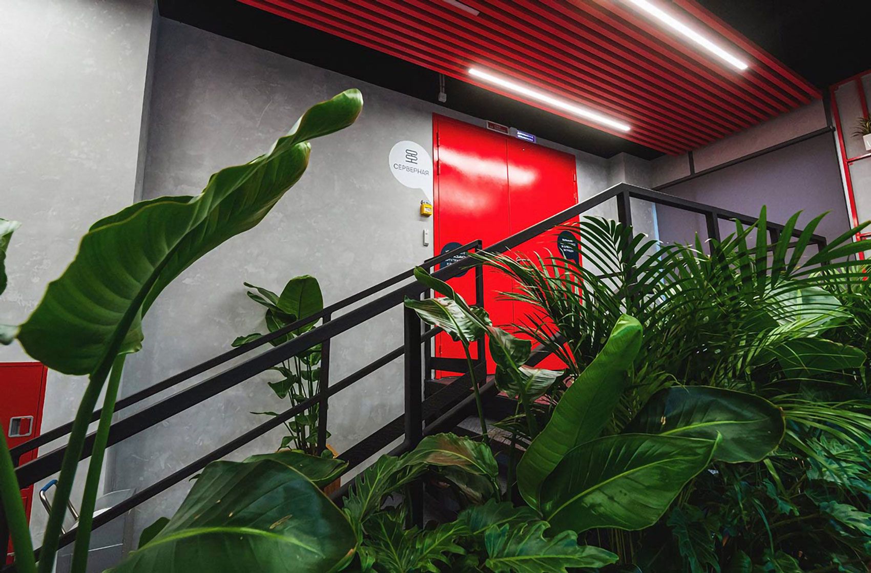 О компании Selectel